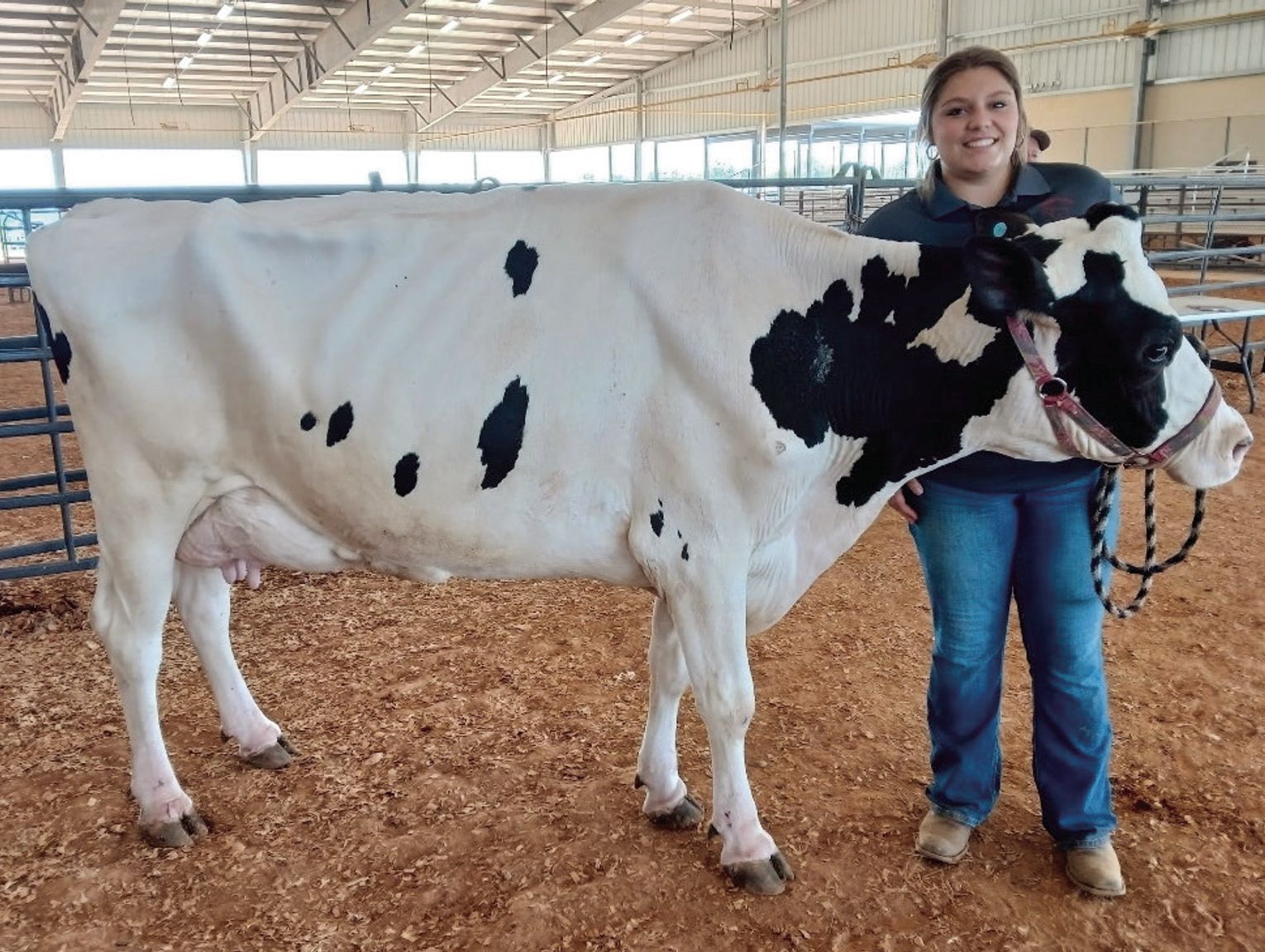 88th annual Livestock Show this Saturday