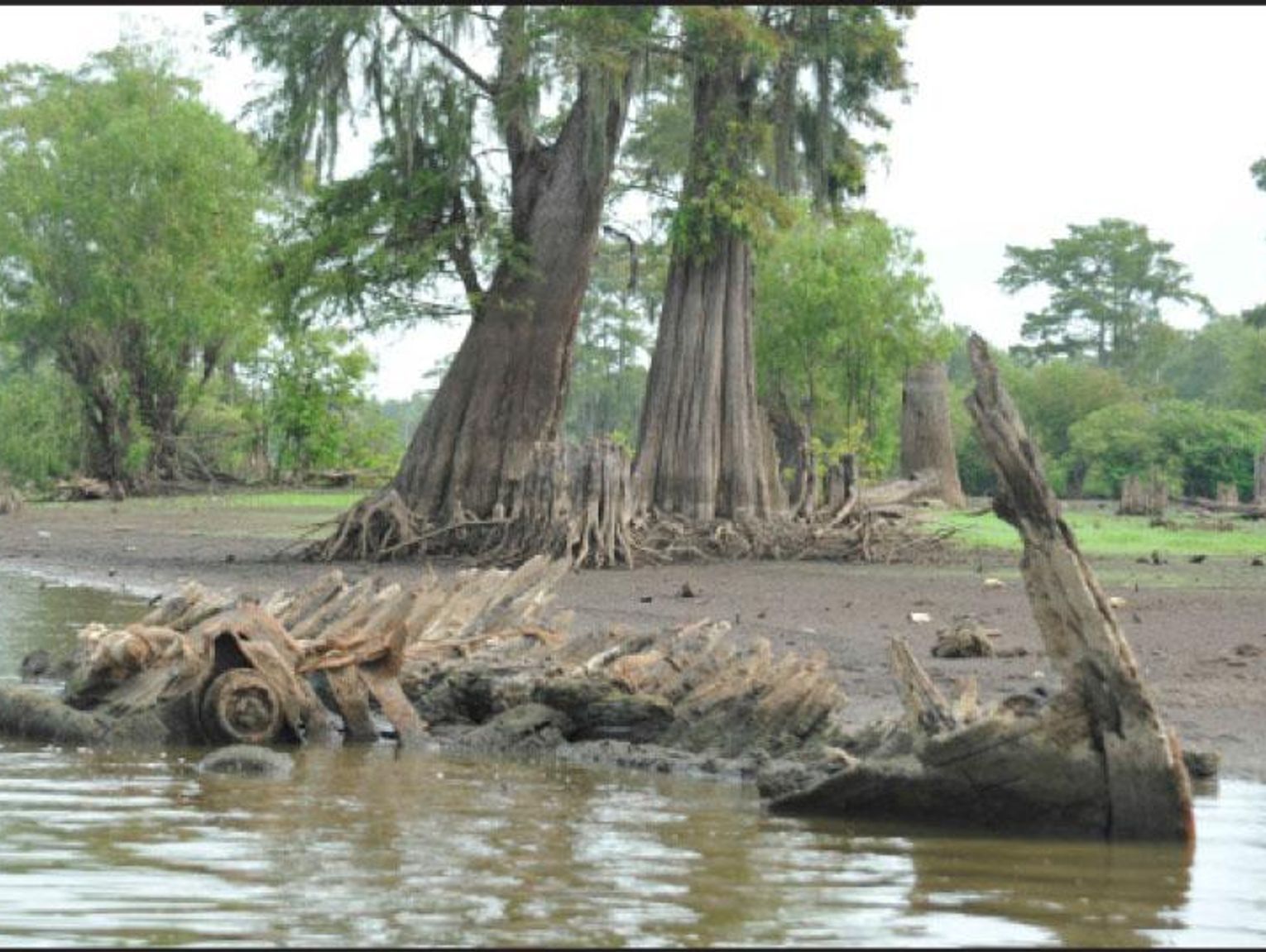 Henderson Lake drawdown planned