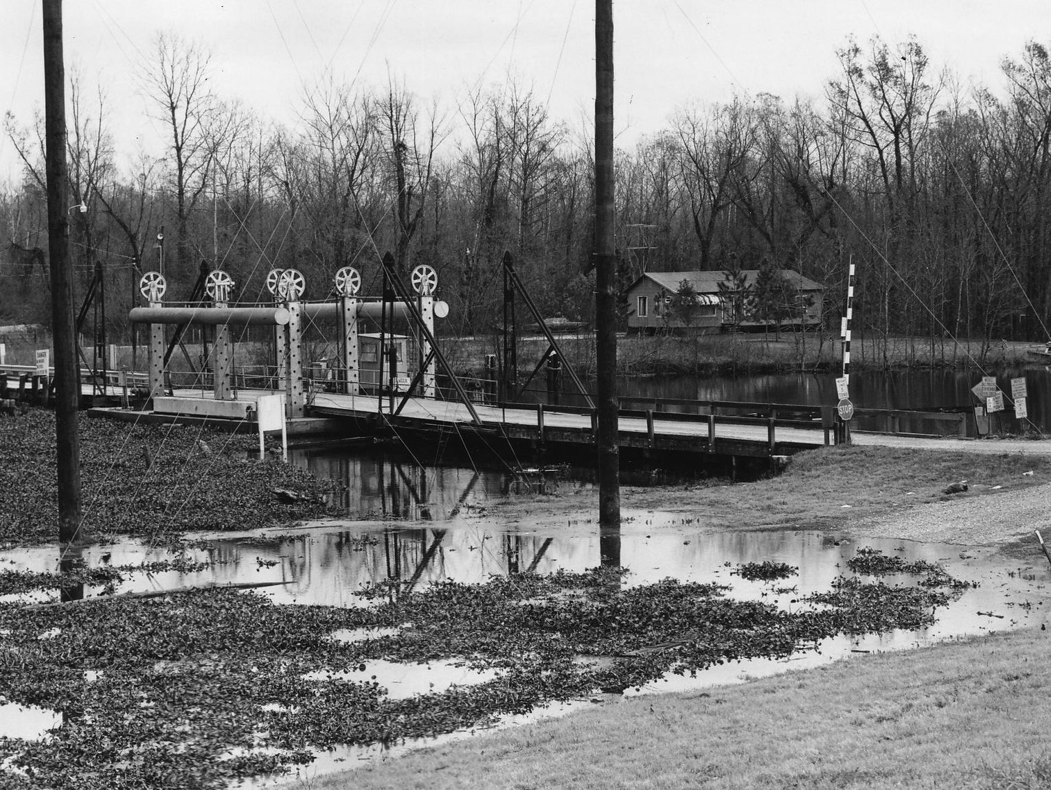 - Picture from the past