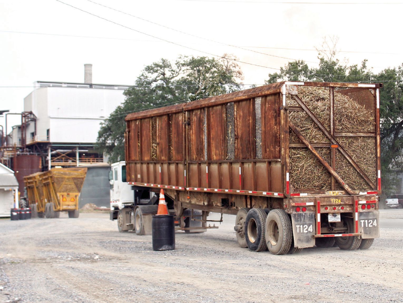 Sugar cane grinding season begins at LaSuCa factory